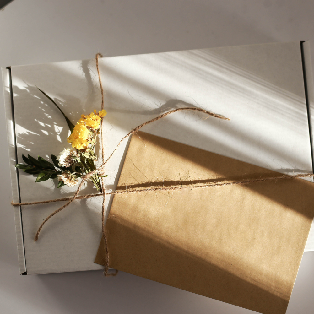 The Wellness Collective – Opening soon